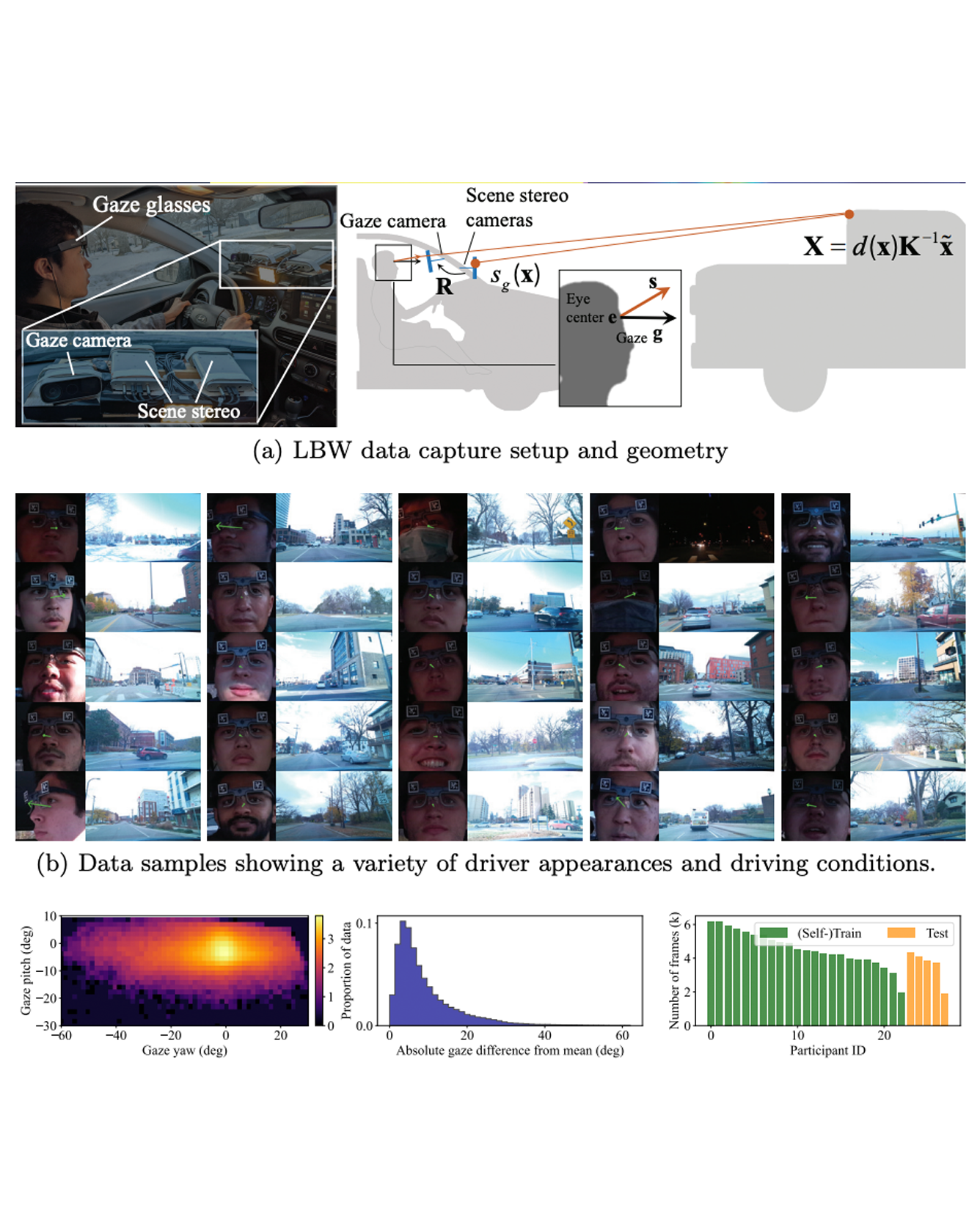 Look Both Ways: Self-supervising Driver Gaze Estimation and Road Scene Saliency | Toyota ...